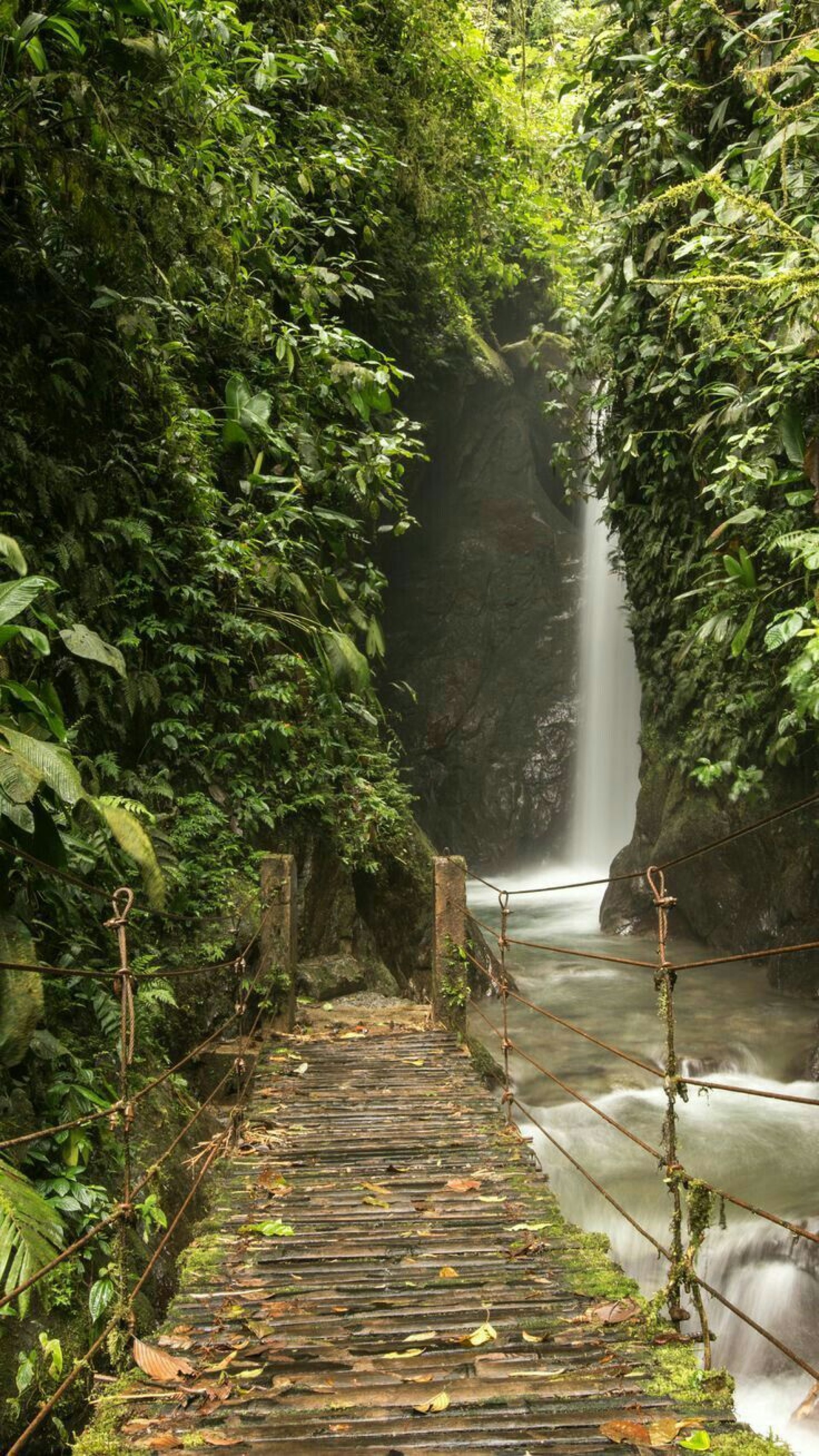 Reserva Mindo, Tour de un día completo | Turismo en Ecuador | Guía ...